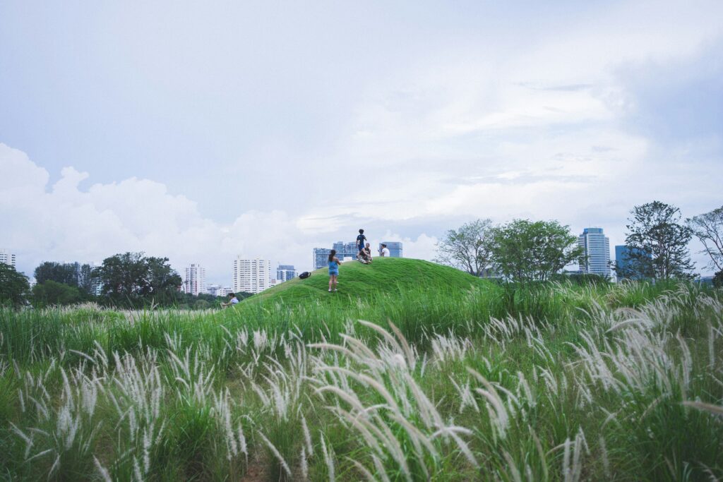 外出は大切【外の世界は自分の目で確かめる】 | うえはら税理士事務所